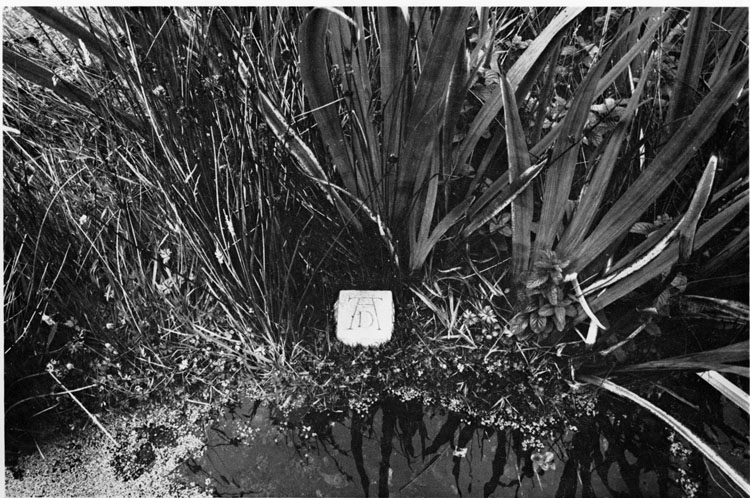 BOOKTRYST: Ian Hamilton Finlay: Ego in Arcadia