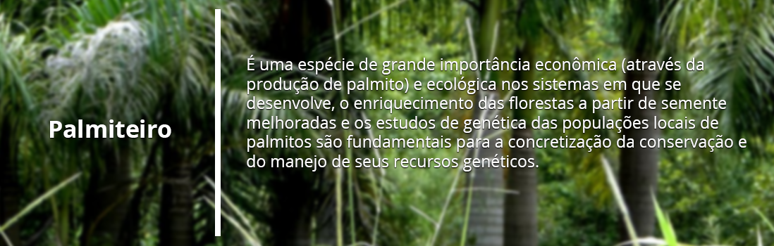 O ENGENHEIRO FLORESTAL NO MELHORAMENTO GENÉTICO DE ESPÉCIES FLORESTAIS