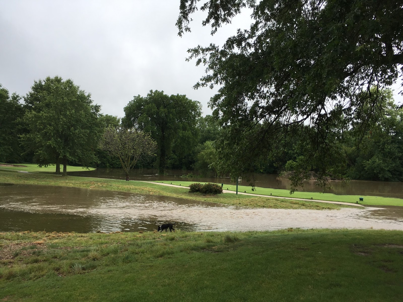 Heart of America Golf Course: HOA Flood