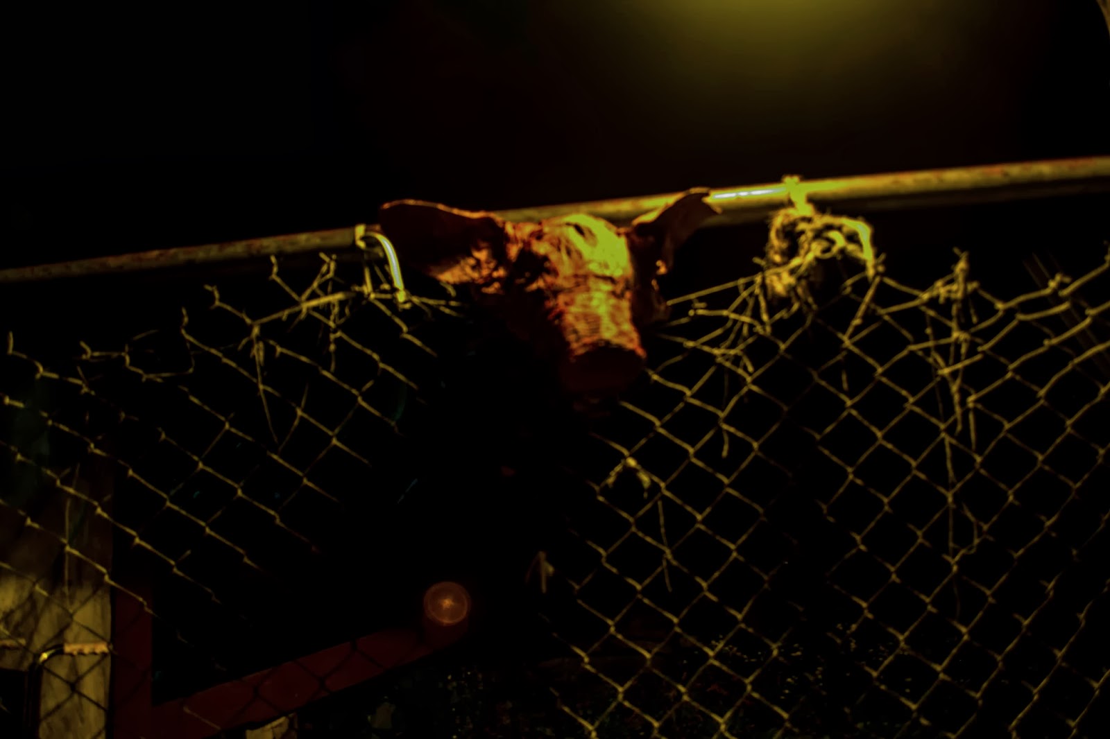 Something wicKED this way comes....: Sneak Peek into The Backwoods ...