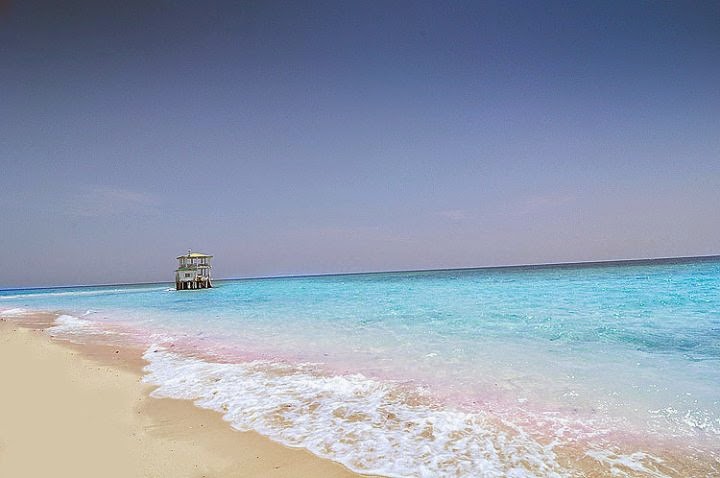 Carbin Reef ~ Negros Island! THE Sweet Spot of the Philippines!