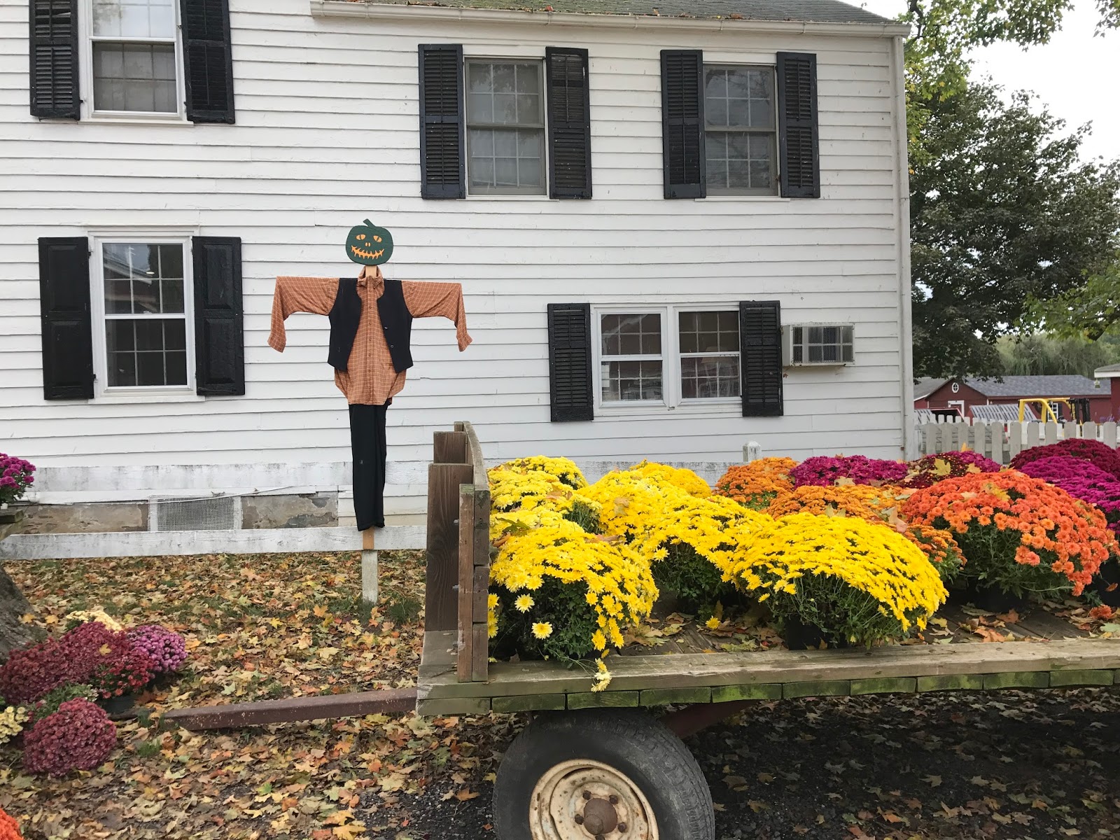 Travel - New England Part One, Princeton NJ and the Pumpkin Patch ...