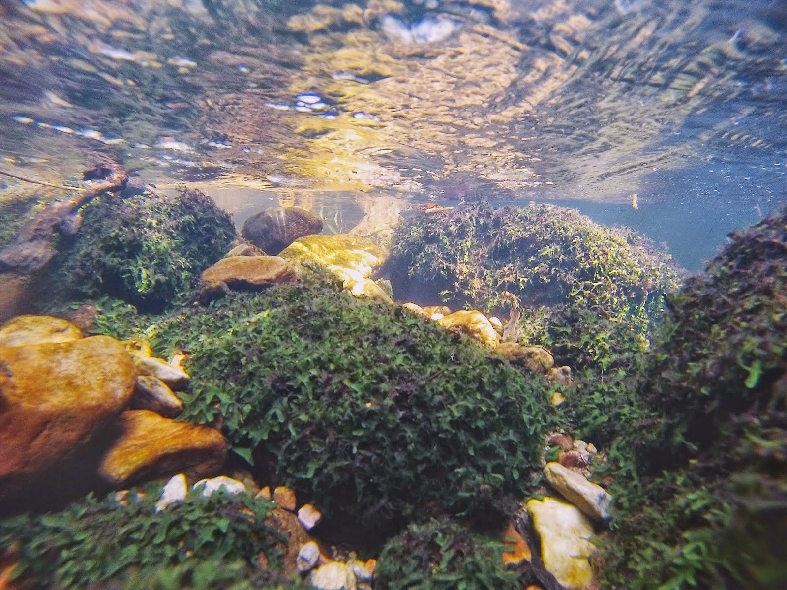 Nagala - Leap of Faith - Bangalore Trekking Club®