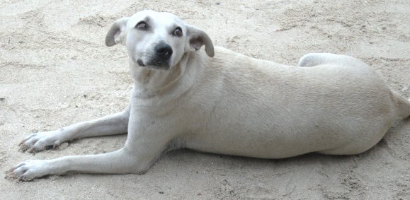 Rounding 3rd with Susan Finkelstein