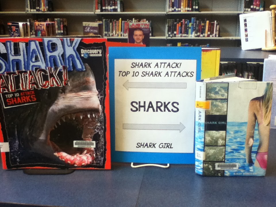 DCG Middle School Library: Fiction Meets Reality in a New Display