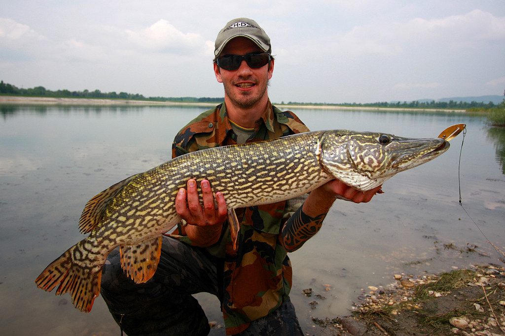 Fishing In Croatia (and in the neighbourhood): 100 cm long pike monster ...