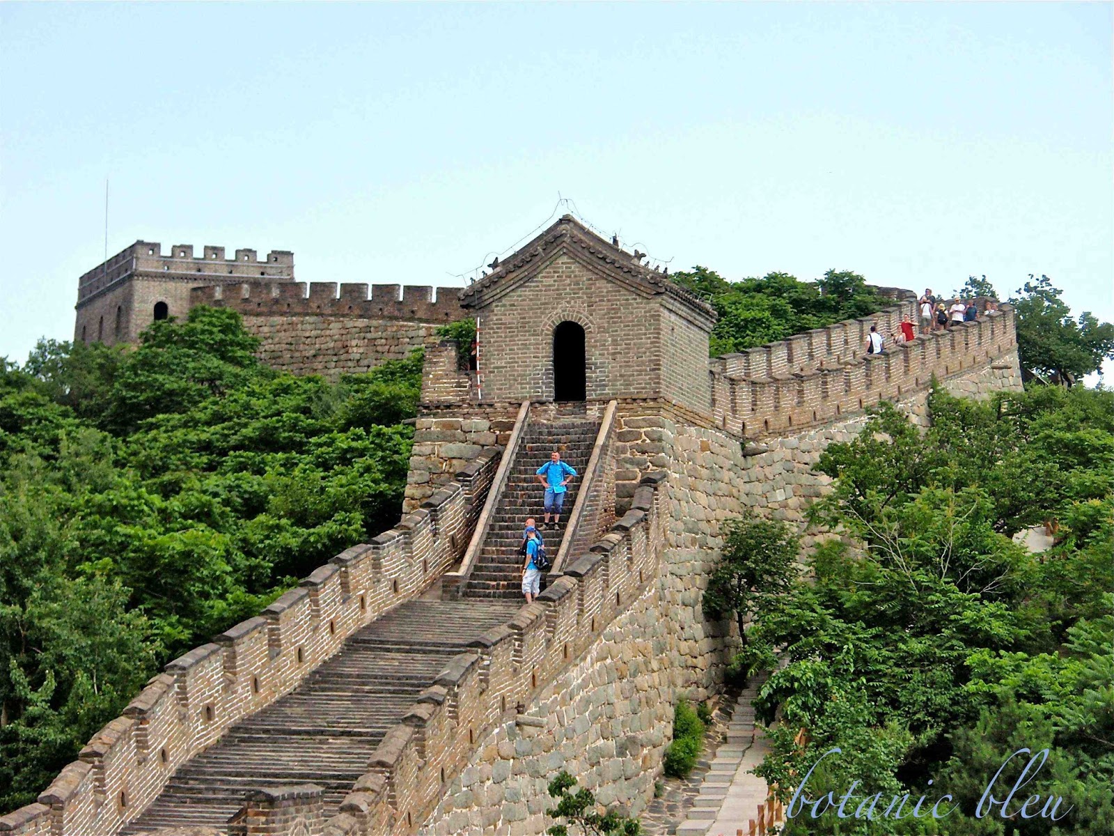 Botanic Bleu: Great Wall of China