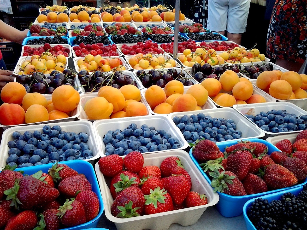 Winding Spiral Case: St. Albert, Alberta