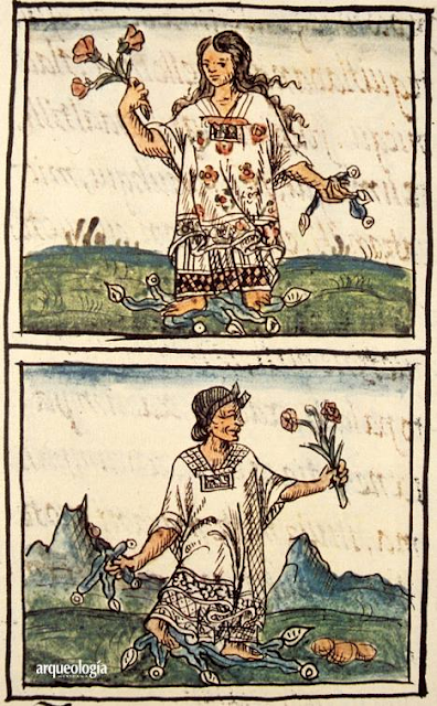 De la vida, el teatro y el cine: AHUEHUETE - El árbol más antiguo de ...