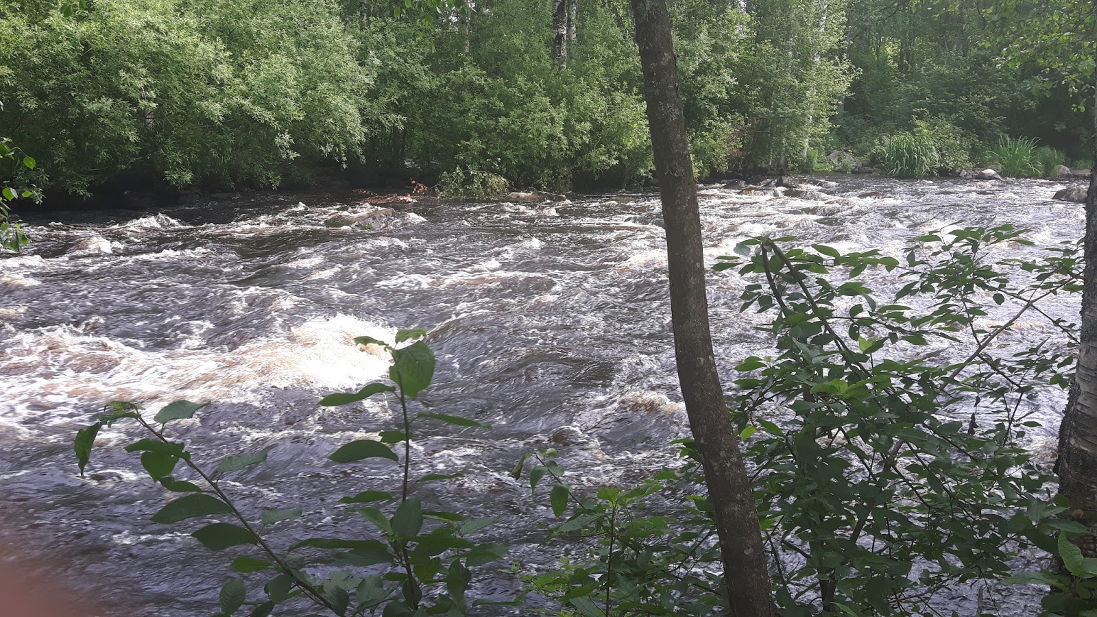 cias1975: Utterleden dag 2