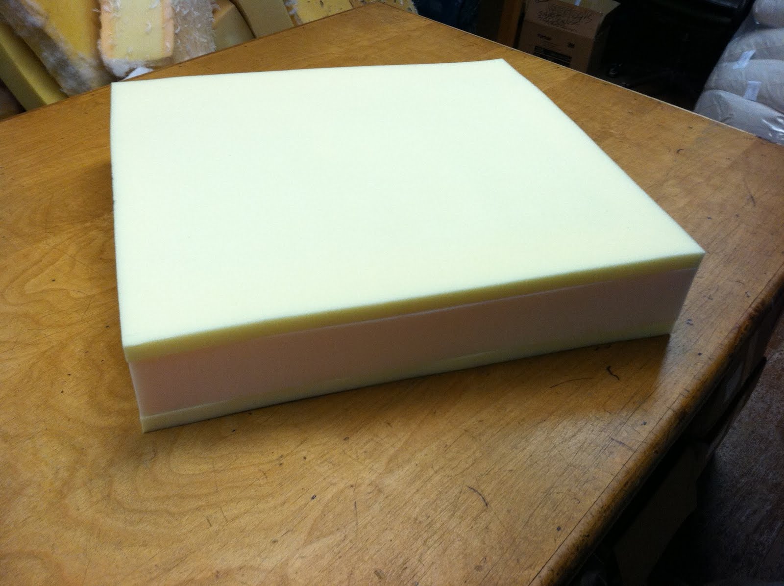 CUSHION WORKS: Spring Core Cushion with Down and Feather Wrap