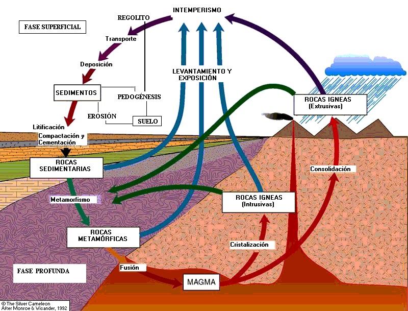 blog biologia: Tema 4 METAMORFISMO