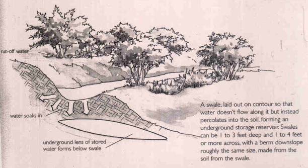 Temperate Climate Permaculture: Permaculture Projects: Swales