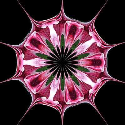 Forms 4 2017: Symmetry in art...