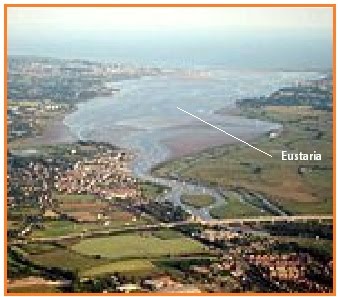 BIOLOGI GONZAGA: BIOMA - EKOLOGI