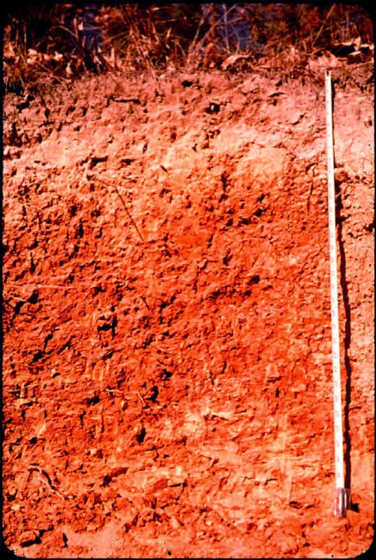 We Love Geography: Jenis dan Persebaran Tahan di Indonesia