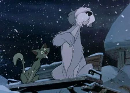 Everything about your Old English Sheepdog - Luv My Dogs