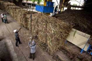 Wirausaha Mandiri Blotong Limbah Pabrik: Wirausaha Mandiri Blotong ...
