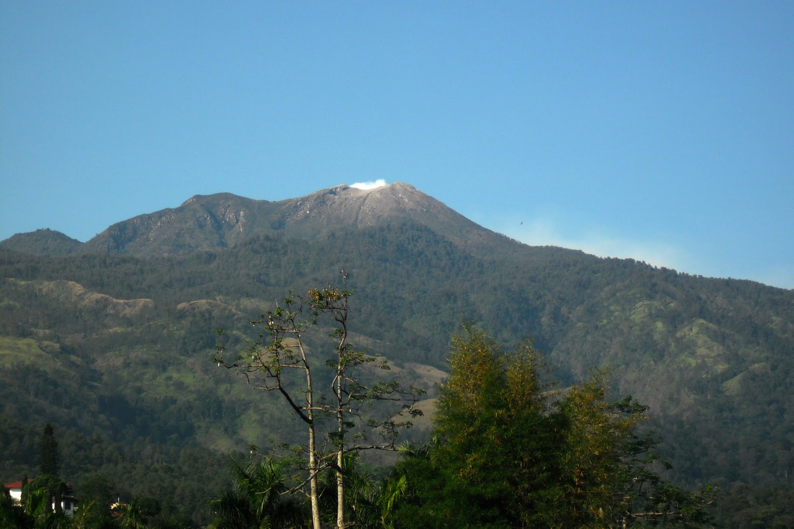 Gunung Arjuno, Malang | ONE WITH NATURE
