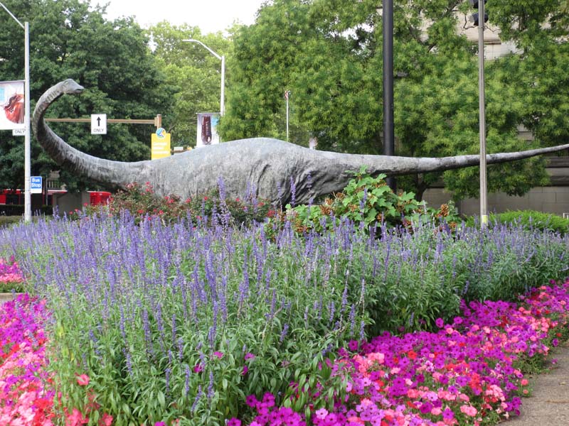 As Seen from My Bike...: A Squonky Kind of Ride