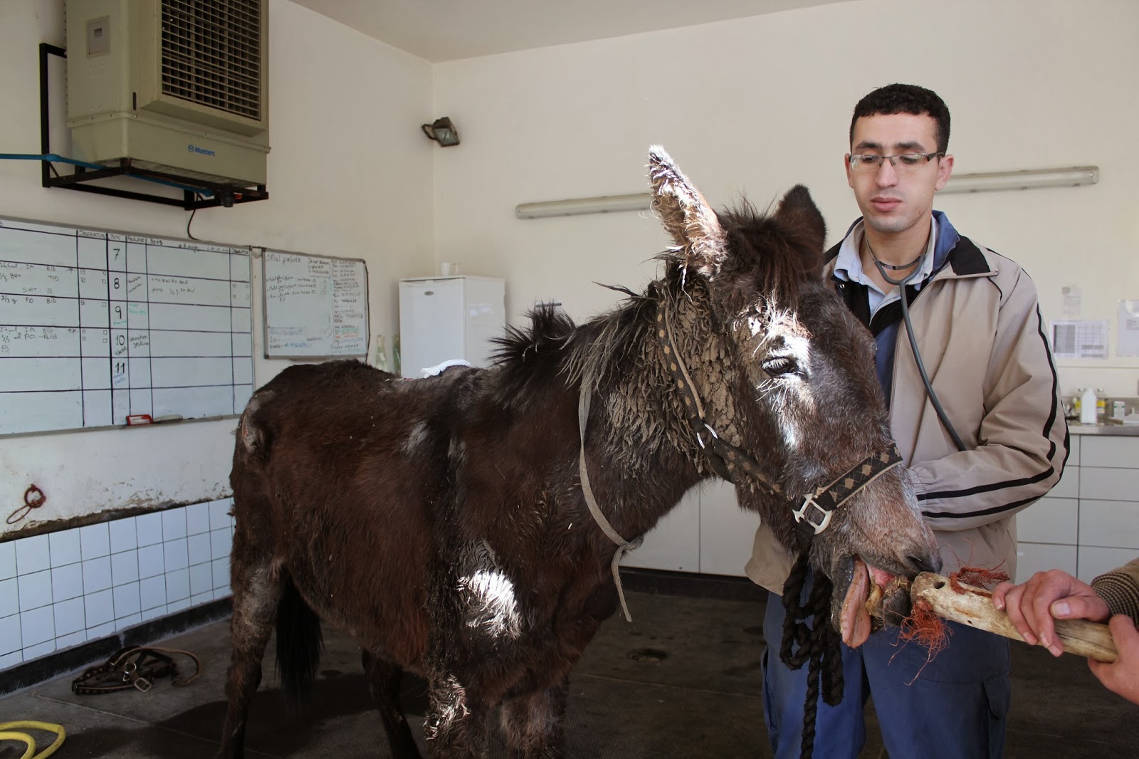 The Ninth Year...: Morocco: The American Fondouk