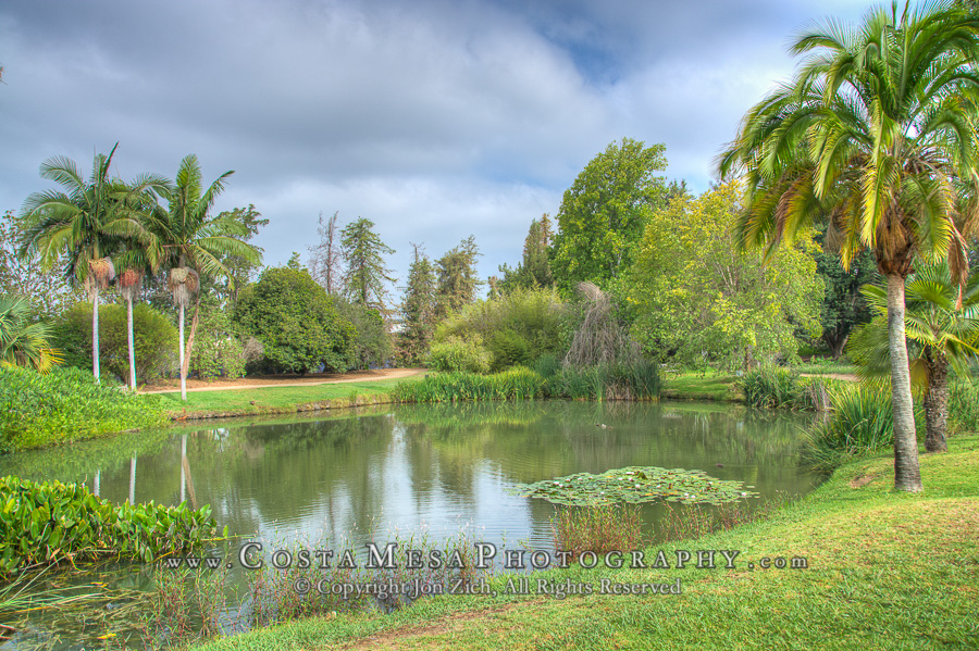 CostaMesaPhotography: The Fullerton Arboretum--an urban respite
