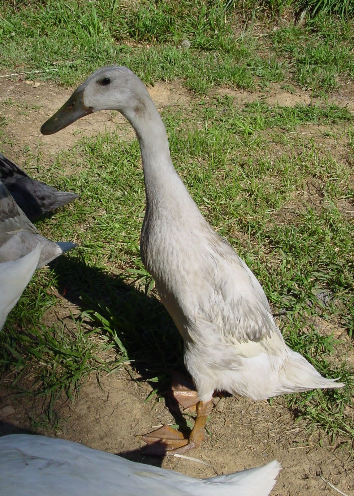 Bluestone River Farm