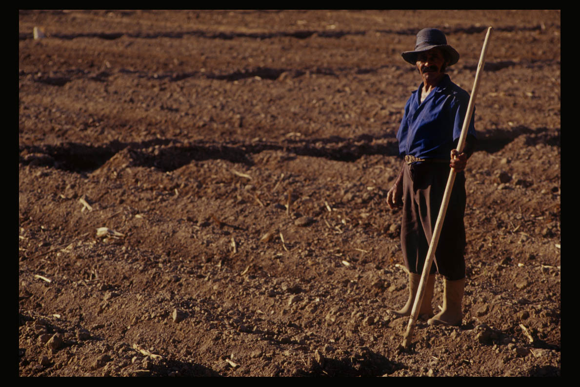 Textos y fotos: LOS LLANOS