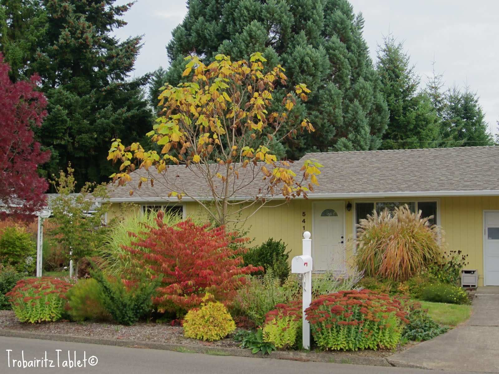 Trobairitz' Tablet: Fall Foliage n Stuff