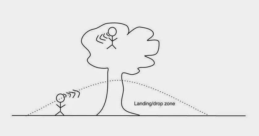 Natural Notes: Tree Worker Safety