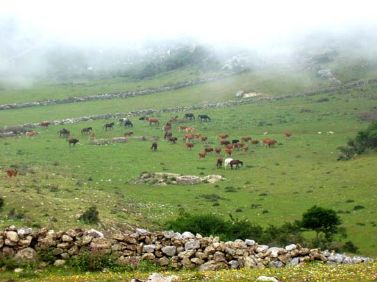 SENDERISMO EN EL RIF/RANDONNÉES DANS LE RIF: DHAR HAJAR Y FAHS LEMHAR ...