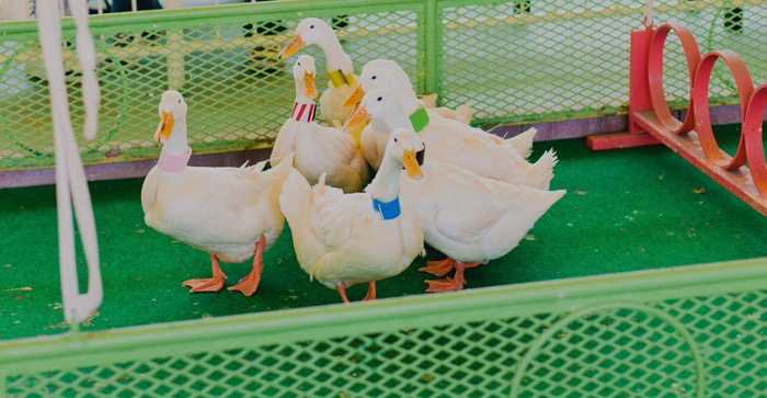 Burntfeather: Japan Road Trip: Beppu Rakutenchi + Sand Bath