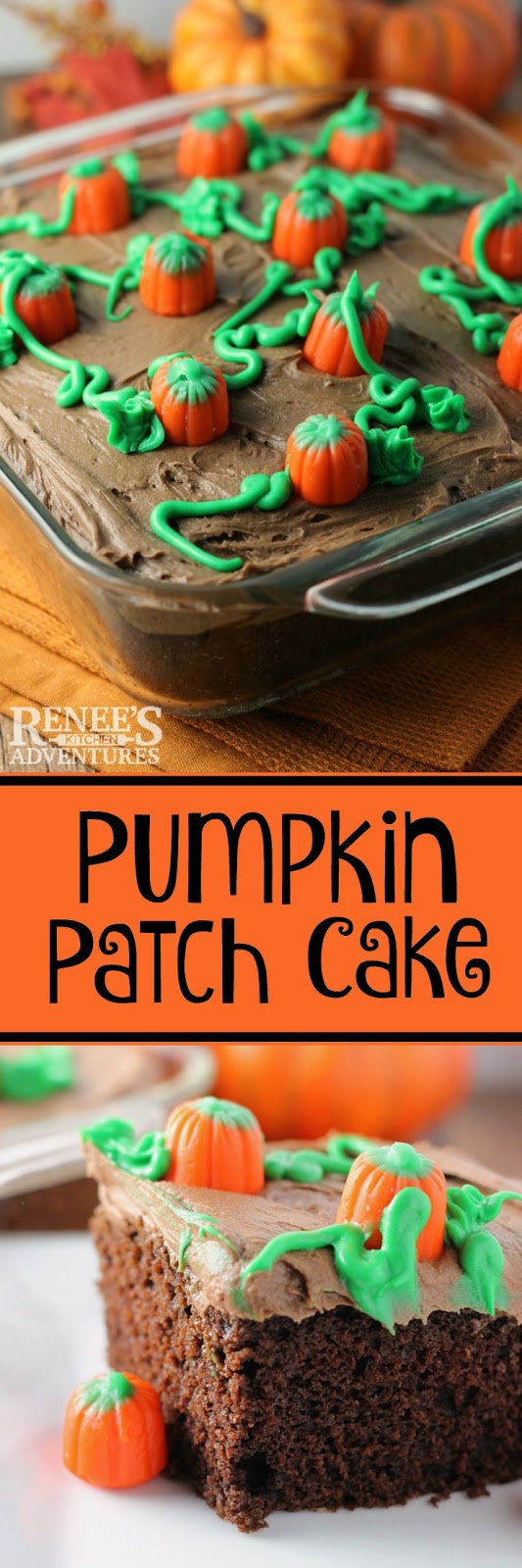 Pumpkin Patch Cake | Renee's Kitchen Adventures