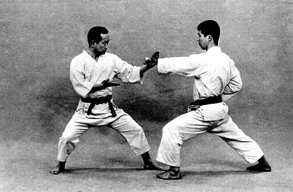 The Guide to Bunkai and Kata