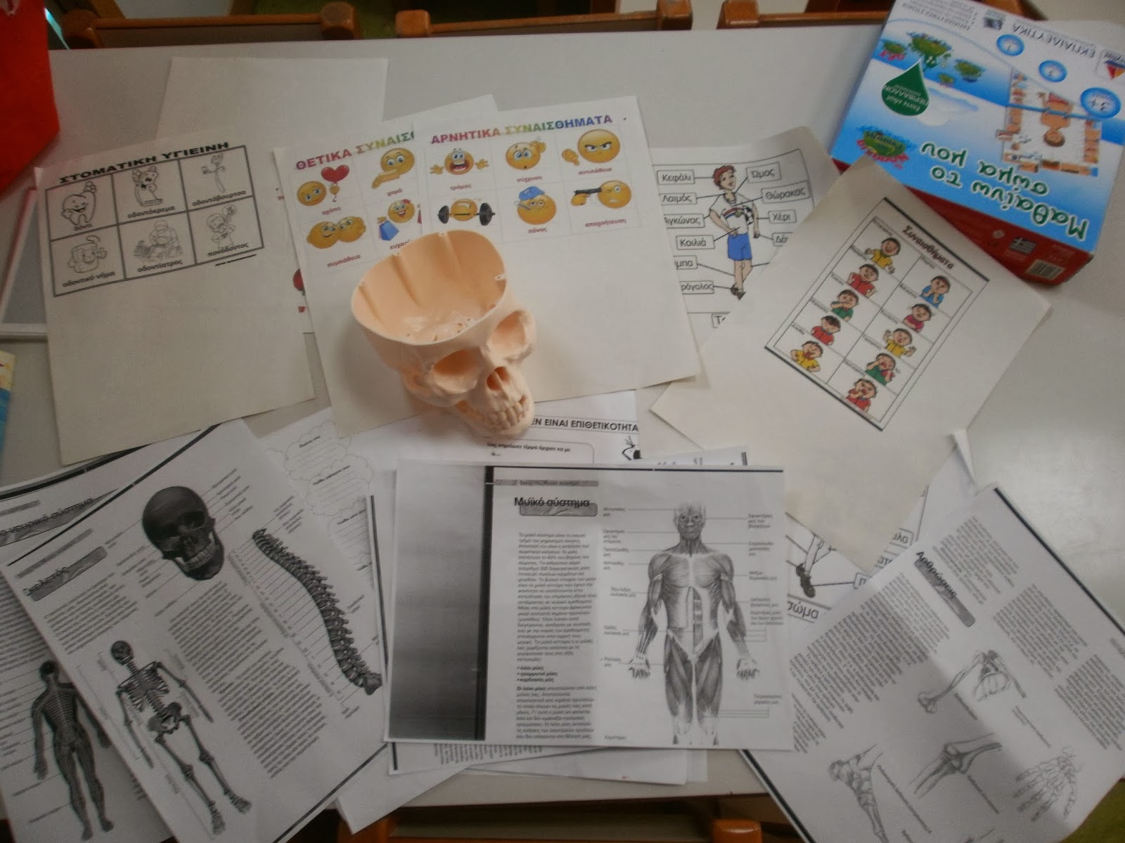 1ο ΝΗΠΙΑΓΩΓΕΙΟ ΙΣΤΙΑΙΑΣ: ΜΑΘΑΙΝΩ ΓΙΑ ΤΟ ΣΩΜΑ ΜΟΥ ΣΤΟ ΝΗΠΙΑΓΩΓΕΙΟ(μέρος 2)