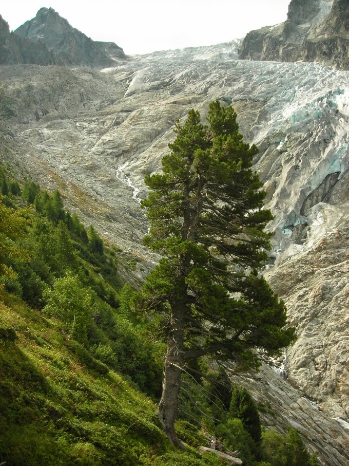ENLACIMA: Trekking del Tour del Mont Blanc