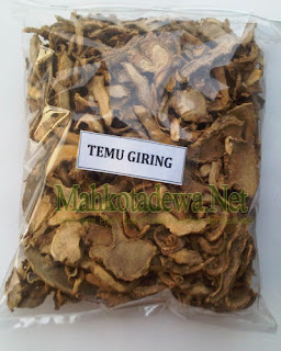 TEMU GIRING - Curcuma heyneana | Daun Obat Tradisional
