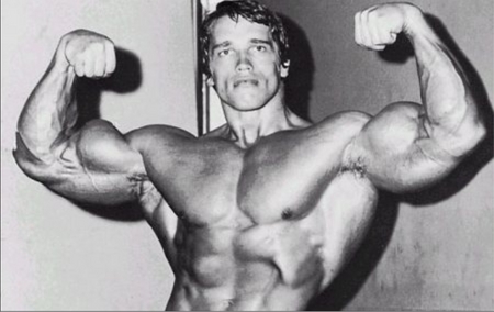 H4 Training: 5 Arnold Principles to use