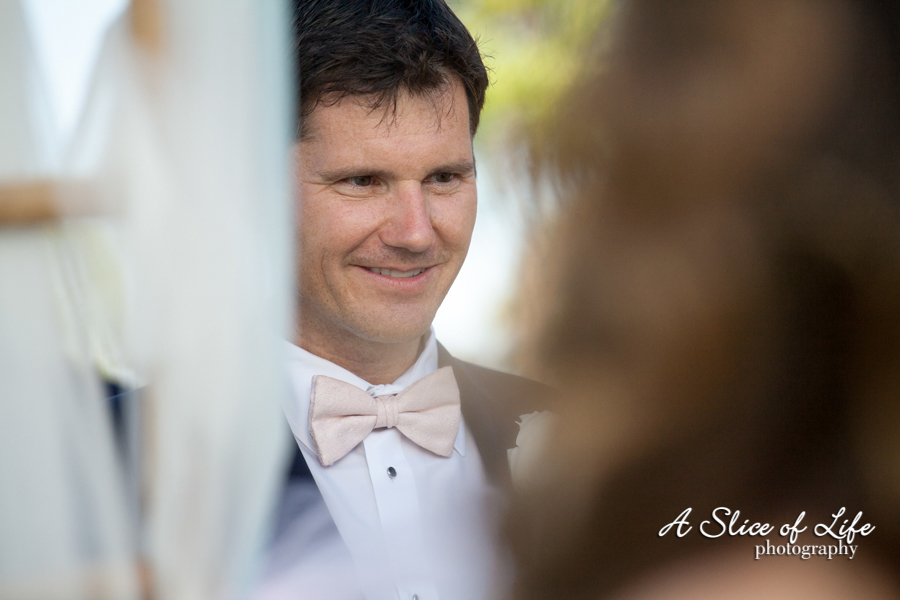 Dana Surowitz Wedding