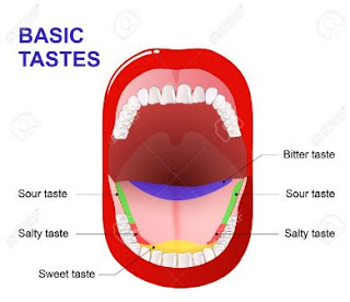 Effect of Organoleptic Properties on preformulation