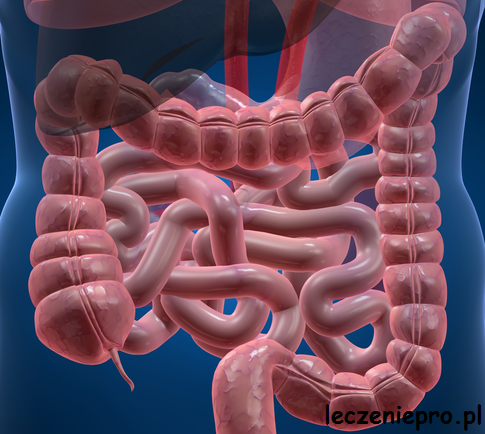 Jak oczyścić jelito grube szybko, skutecznie i naturalnie?