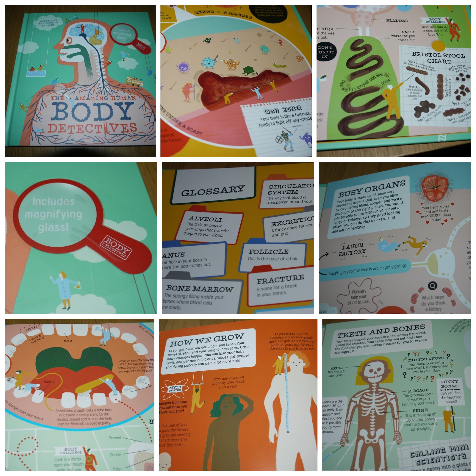 Inside the Wendy House: Non-Fiction Books for Curious Kids - Collins ...