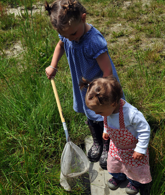 The Little Legers: Catching Frogs!