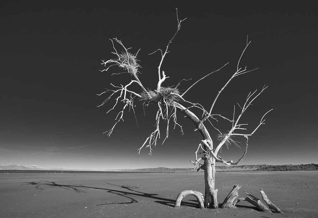 Parallax View: Reaping What We Sow — Part I