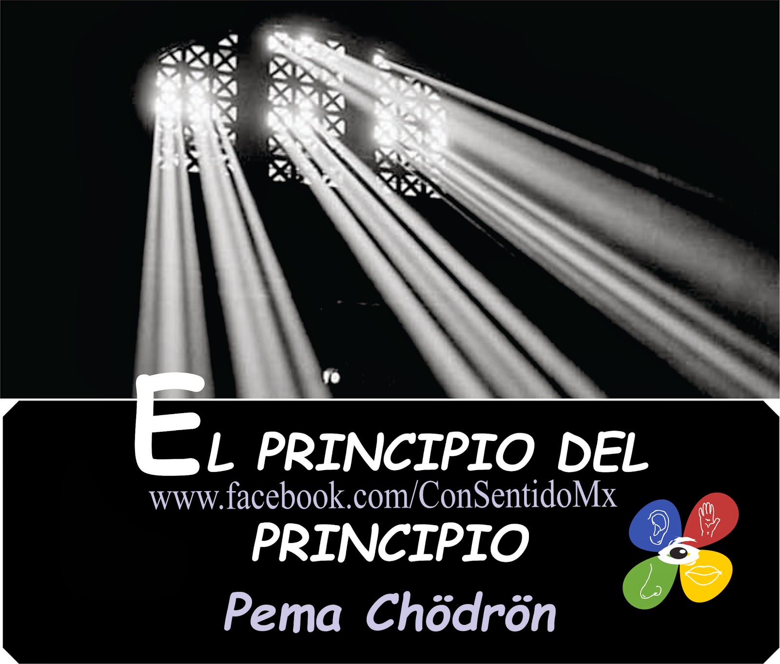 TODO ES MEDICINA: EL PRINCIPIO DEL PRINCIPIO