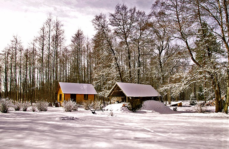 Sipsiku maailm: Kevad