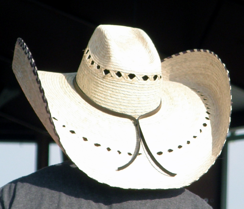 Food Gratitude: Trader's Village IBCA Barbeque Cookoff held in Grand ...