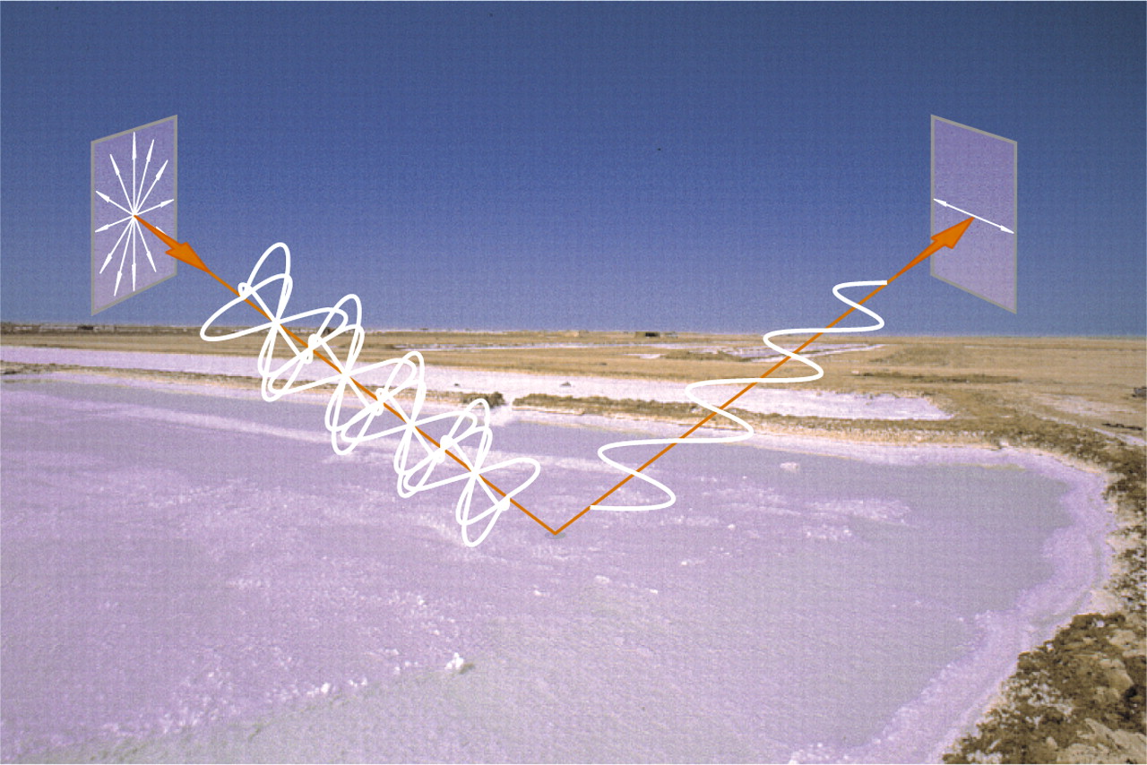 Bristol University Faculty of Science: Milly: Polarization Paradise