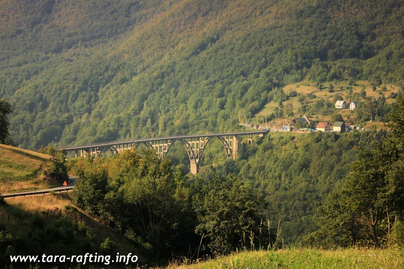 spagosmail: Ne tako daleko: Most na Đurđevića Tari