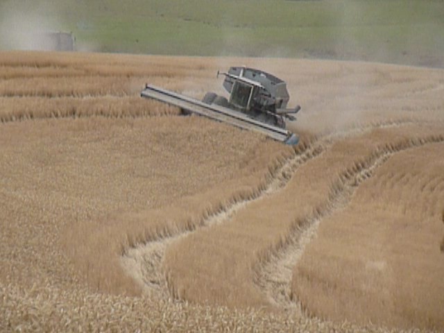FARMING THE PALOUSE: Shelbourne Stripper Header